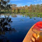 Kayak Rental (2hr) - Blue Spring State Park - Insights from Reviews: Authentic Perspectives