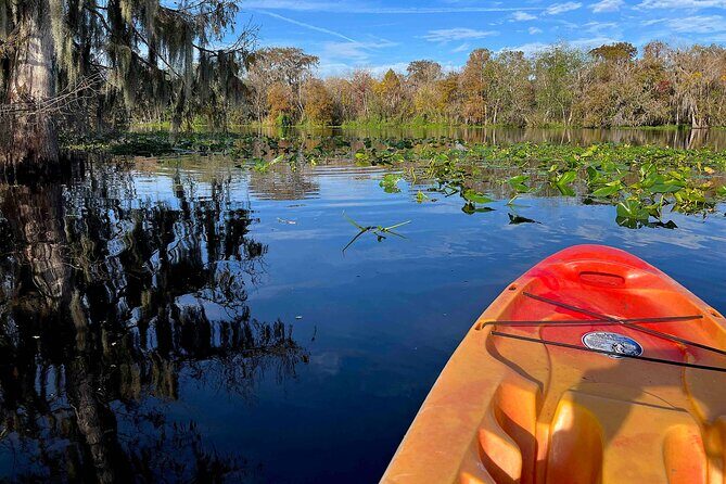 Kayak Rental (2hr) - Blue Spring State Park - Insights from Reviews: Authentic Perspectives