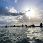 Kayak Sian Kaan Experience - Who Should Book This Tour?