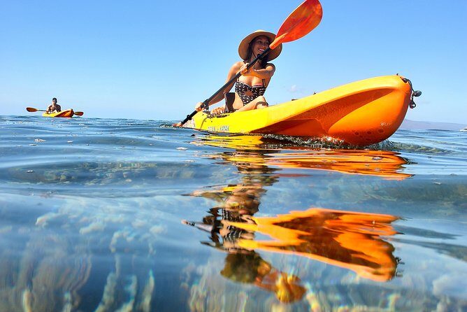 Kayak, Snorkel and Surf Package - Who Will Love This Tour?