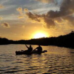 Kayak sunset cancun - The Sum Up: Is This Tour Worth Your Time?