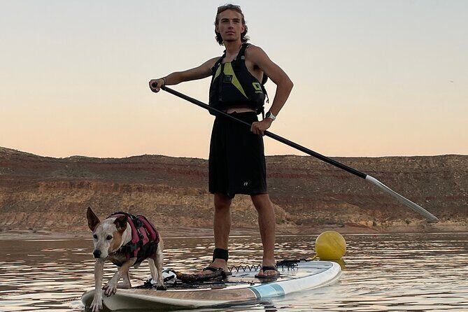 Kayak/SUP Tour: Birds, Beavers, Turtles, maybe even Cliff Jumping - The Sum Up