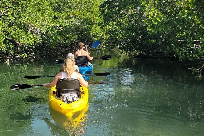 Kayak through Mangrove Forests in the Florida Keys - Final Thoughts