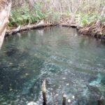 kayak through mangroves to secret beach - Authentic Traveler Perspectives
