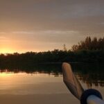 Kayak Tours and Rentals. Dolphins, Manatees, and Bioluminescence! - A Deep Dive into the Experience