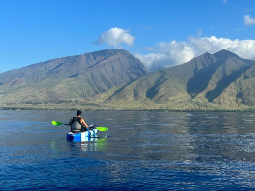 Kayak, Whale Watch And Snorkel At Turtle Town - Who Should Book This Tour?