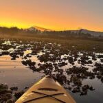Kayaking adventure through the Xochimilco and Frida Kahlo Canals - Exploring the Canales de Xochimilco