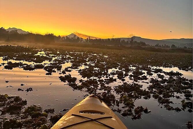 Kayaking adventure through the Xochimilco and Frida Kahlo Canals - Exploring the Canales de Xochimilco