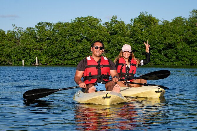 Kayaking Tour in Cancun - The Experience: What to Expect from the Tour