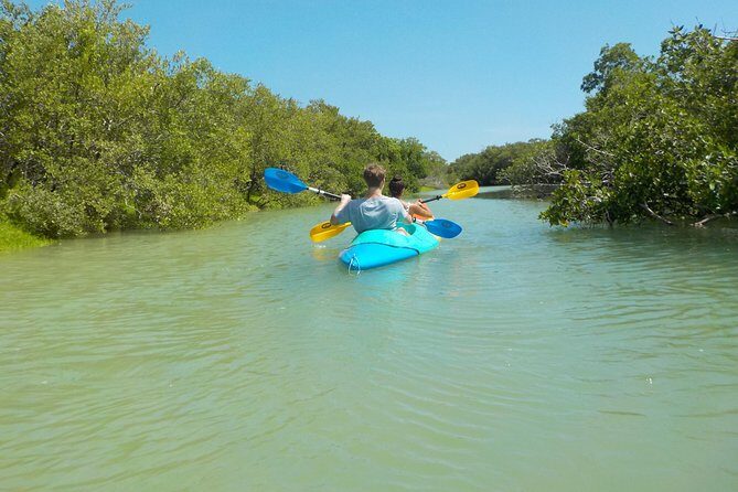 Kayaking Tour Through the Mangroves in Isla Holbox - Frequently Asked Questions