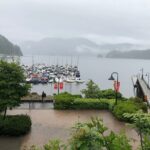Kayaking Vancouver Tour - What to Expect from the Experience