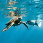 Kealakekua Bay Dolphin Watching, Snorkeling Boat Tour, BBQ - Authentic Customer Feedback