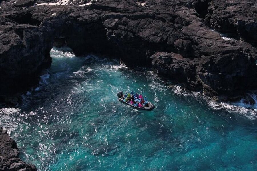 Kealakekua Bay: Snorkel and Coastal Adventure with Lunch - The Value of This Tour