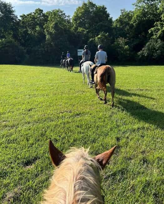Keeneland: Horseback Riding Experience with Guide - Who Will Love This Experience?