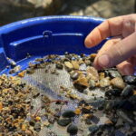 Kelowna E-Bike Gold Panning Expedition - What to Expect Throughout the Tour