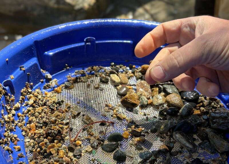 Kelowna E-Bike Gold Panning Expedition - What to Expect Throughout the Tour
