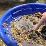 Kelowna: Okanagan Gold Panning Experience at Scenic Canyon - What Makes This Tour a Great Choice?