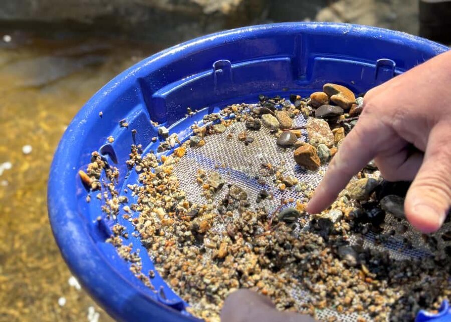 Kelowna: Okanagan Gold Panning Experience at Scenic Canyon - What Makes This Tour a Great Choice?