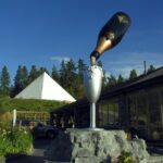 Kelowna South Slopes Wine Tour - 5 wineries on the tour - Practical Details and What to Expect
