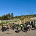 Kelowna: Wine Tasting by E-bike, Smartphone Guide & Lunch - Why This Tour Works Well