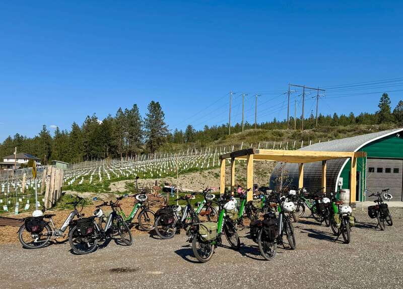 Kelowna: Wine Tasting by E-bike, Smartphone Guide & Lunch - Why This Tour Works Well