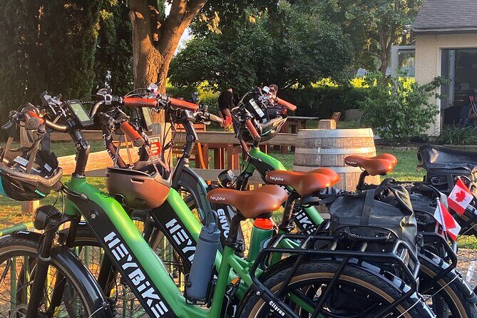 Kelowna Wine Tour by E-bike, Okanagan Valley Views and Lunch - Final Thoughts