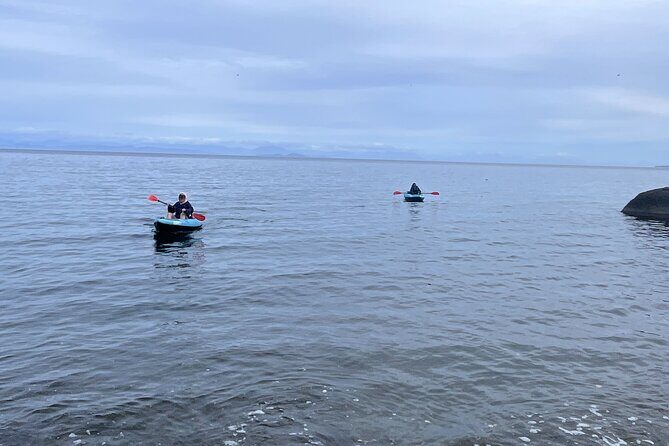 Keogh River Bear Kayaking Tour - Final Thoughts