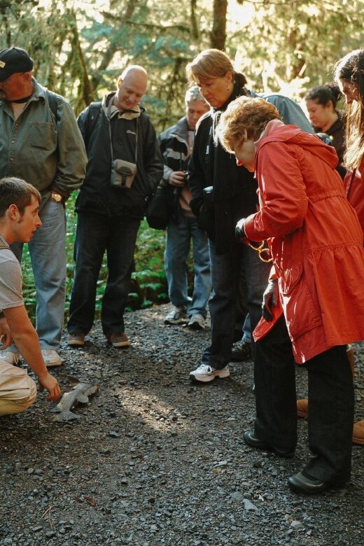 Ketchikan: Alaska Rainforest Sanctuary and Totem Park Walk - What Reviewers Say