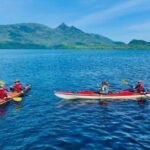 Ketchikan: Orca Cove Fast Boat and Sea Kayak Tour - The Value of the Tour