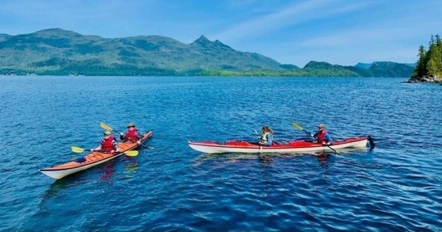 Ketchikan: Orca Cove Fast Boat and Sea Kayak Tour - The Value of the Tour