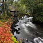 Ketchikan Photo Safari - A Close Look at the Ketchikan Photo Safari Experience