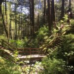 Ketchikan: Tongass Forest Alaska Bigfoot ATV Ride and Hike - Deep Dive into the Itinerary