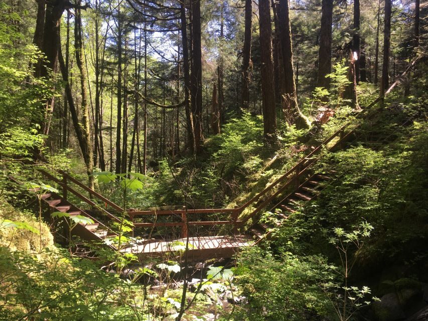 Ketchikan: Tongass Forest Alaska Bigfoot ATV Ride and Hike - Deep Dive into the Itinerary