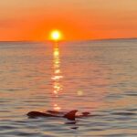 Key Largo: Sunset Cruise - What to Expect on the Sunset Cruise