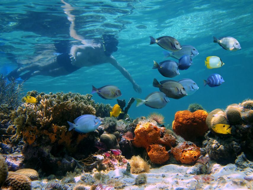 Key West: 2 Reef Snorkel With Sunset Cruise, Includes Drinks - What’s Included and What’s Not