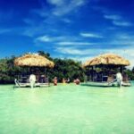 Key West: 4-Hour Private Sandbar Cruise on a Tiki Bar Boat - Who Will Love This Tour?