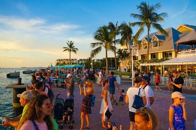 Key West Adventure: One-Day Escape from Miami - The Free Time in Key West: What’s on Offer?