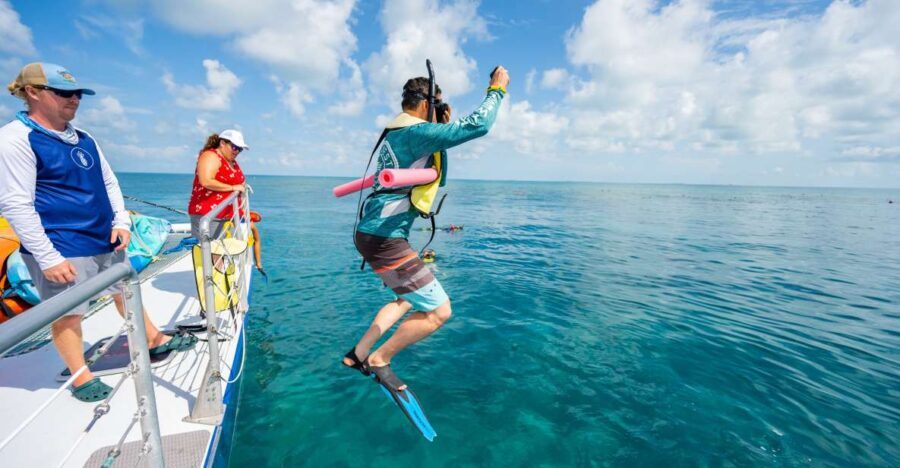 Key West: Afternoon Reef Snorkel Tour with Open Bar - Who Should Book This Tour?