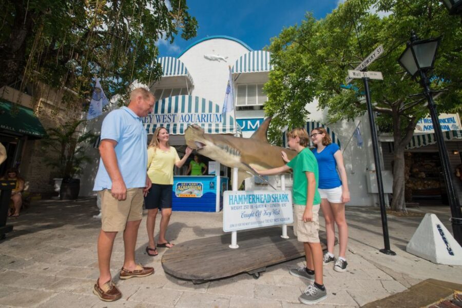 Key West Aquarium Tickets - Who Will Love This Experience?