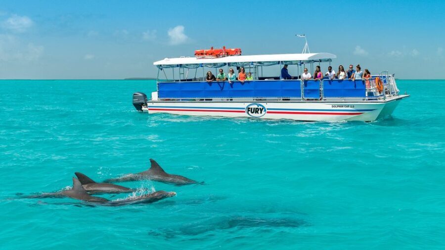 Key West: Dolphin Watching and Snorkeling Eco Cruise Tour - Practical Tips for Travelers