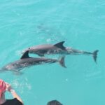 Key West: Dolphin Watching and Snorkeling Sunset Cruise - What the Reviews Tell Us