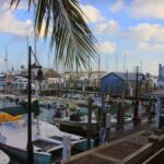 Key West: Hemingway's Life and Local Food Walking Tour - What’s Included and What’s Not