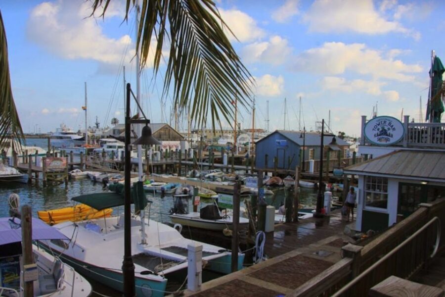 Key West: Hemingway's Life and Local Food Walking Tour - What’s Included and What’s Not