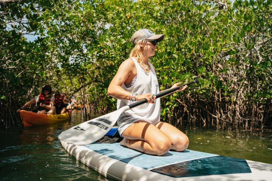 Key West: Hidden Sanctuary Kayak Tour with Sandbar Safari - Why This Tour Is a Valuable Choice