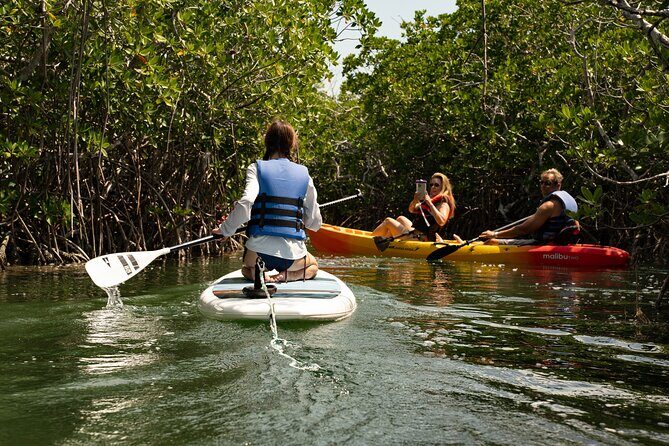 Key West Hidden Sanctuary Mangrove Kayak Tour With Drinks - Authentic Experiences from Travelers
