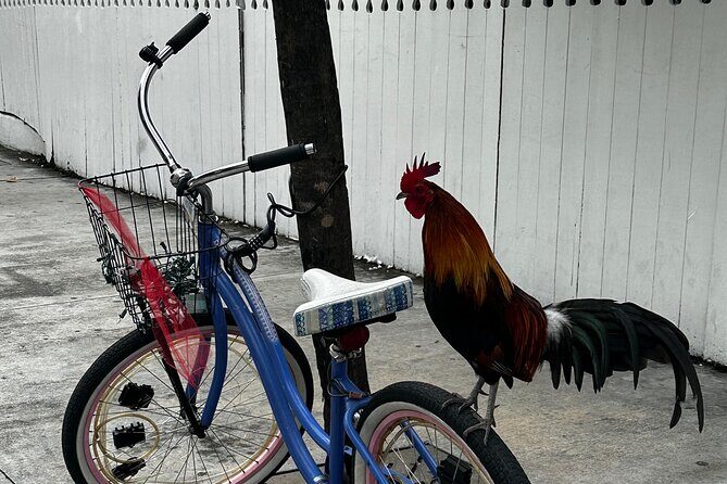 Key West Odyssey: Uncover Island Secrets, Walk by Locals - What Past Travelers Say