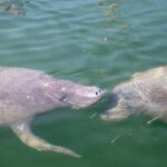 Key West: Private Boat Charter with Captain - FAQs