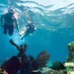 Key West: Reef Snorkeling with Drinks and Sunset Option - What’s Included and What’s Not