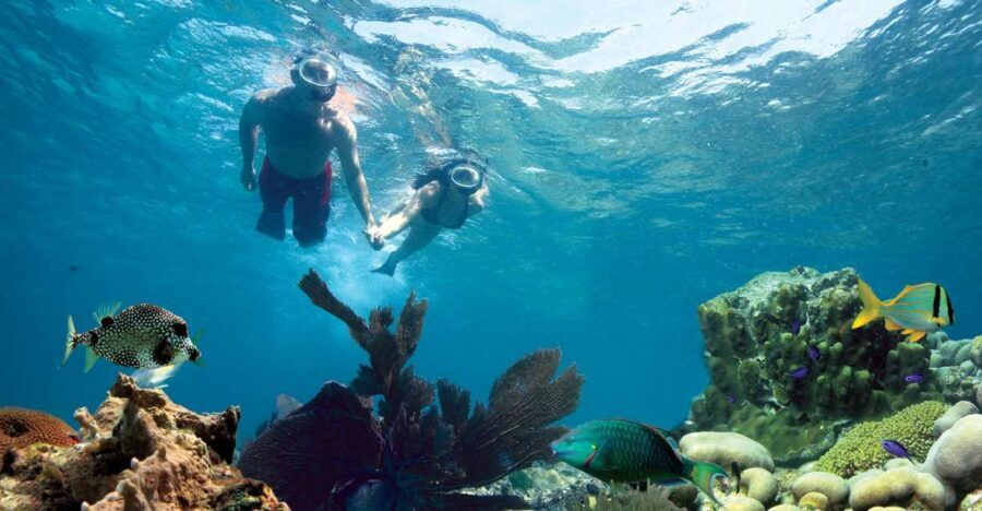 Key West: Reef Snorkeling with Drinks and Sunset Option - What’s Included and What’s Not
