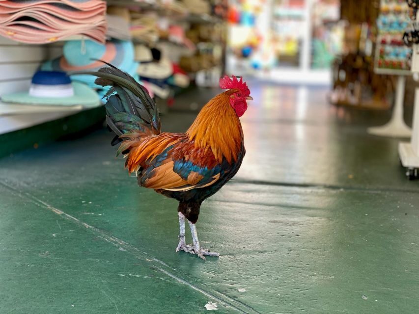 Key West: Secret Walking Food Tour - Why This Tour Delivers Value